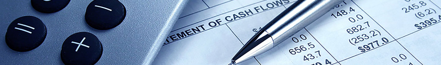 Consulting for Mexican Taxation and Accounting Standards